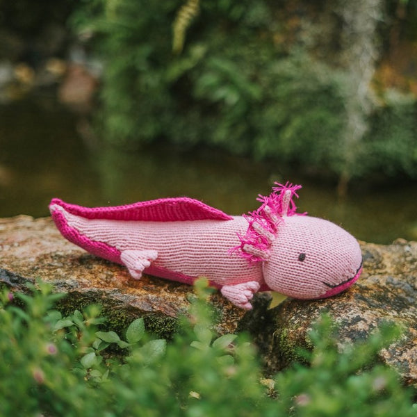 Axolotl – Knitting Expedition